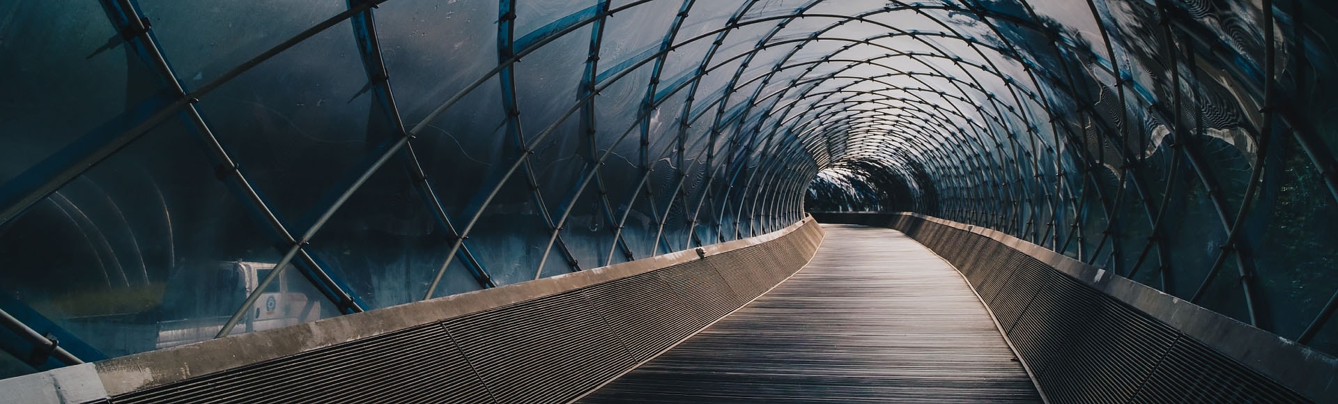 Building Consensus: Addressing Behavioral Biases | Northern Trust